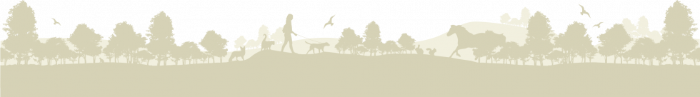 Home - RSPCA Cornwall Branch