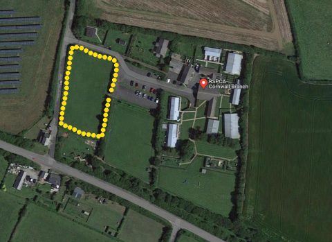 Secure Dog Exercise Paddock Hire - RSPCA Cornwall Branch