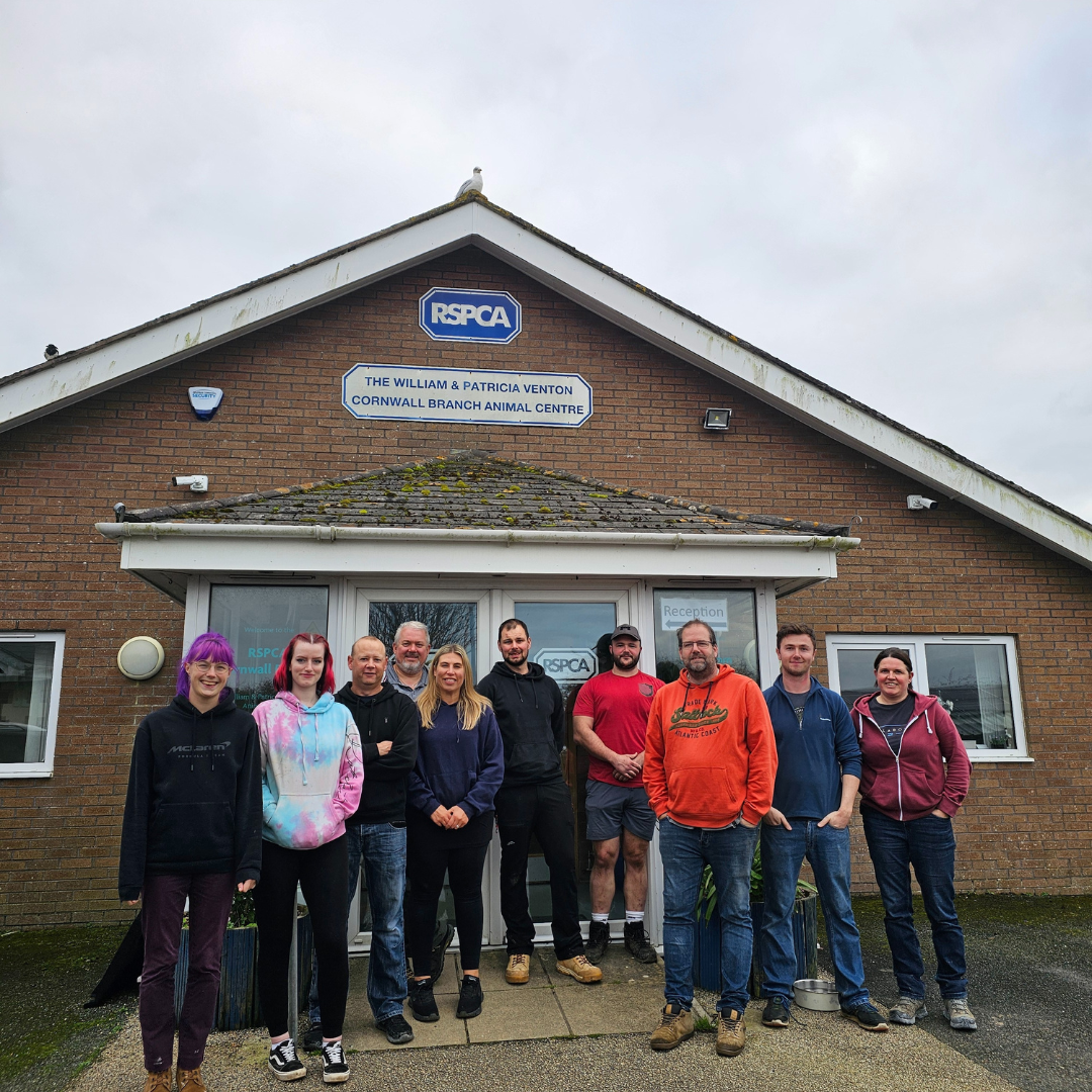 Corporate Volunteer Days - RSPCA Cornwall Branch